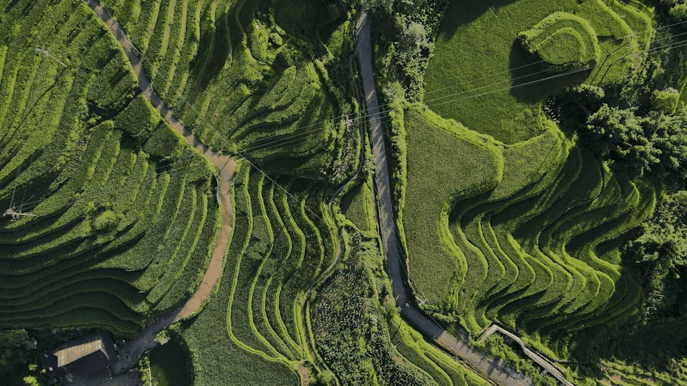 Vietnam Airlines | A Peaceful Escape to Cat Cat Village Vietnam: What ...