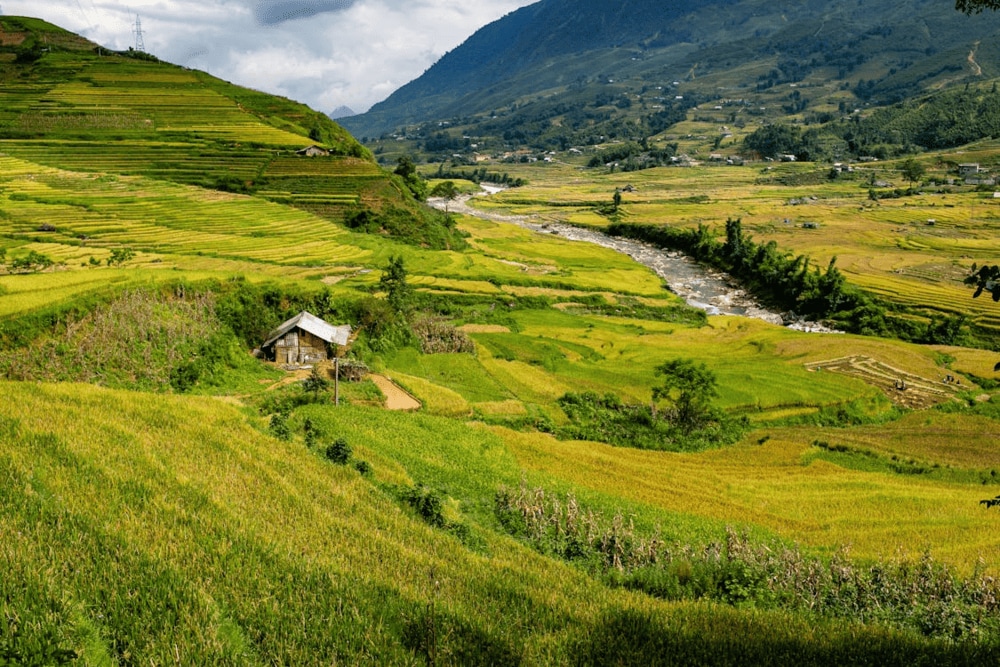 Vietnam Airlines | Top 8 Things to Do in Sapa for An Unforgettable Trip