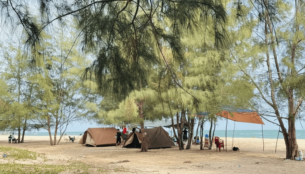 Vietnam Airlines | What Makes Ho Coc Beach Attractive? Detailed 2025 ...