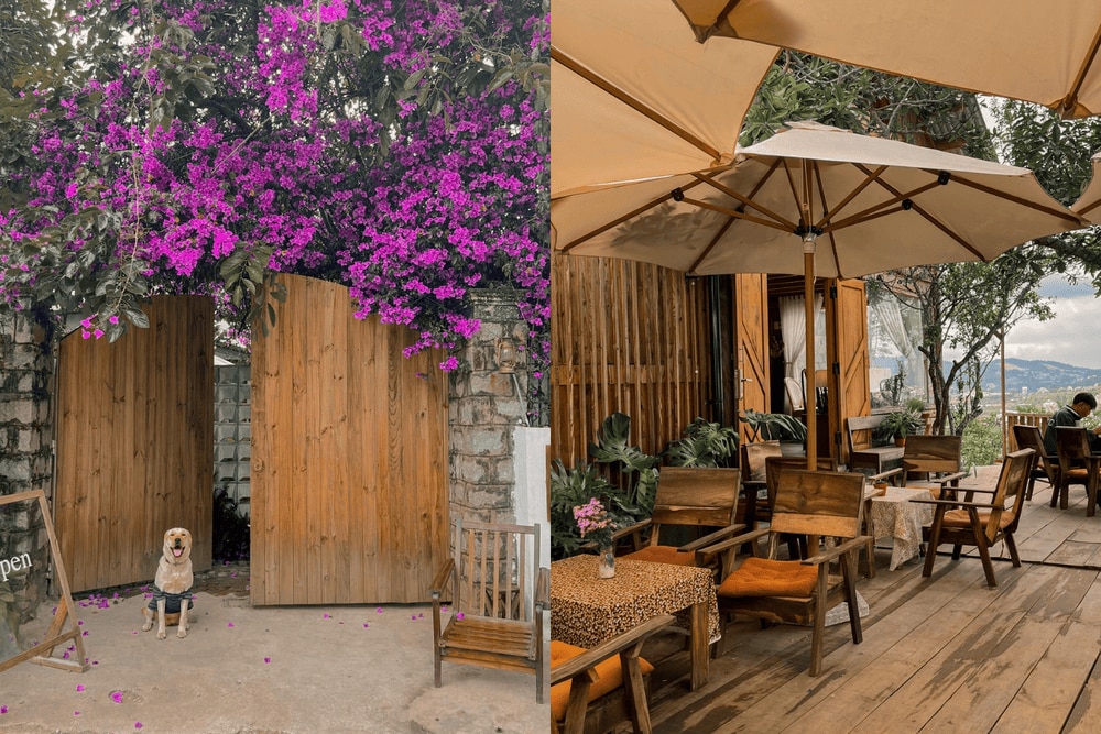 Vietnam Airlines | 45+ cảnh đẹp Đà Lạt đắm say lòng người - thỏa thích ...