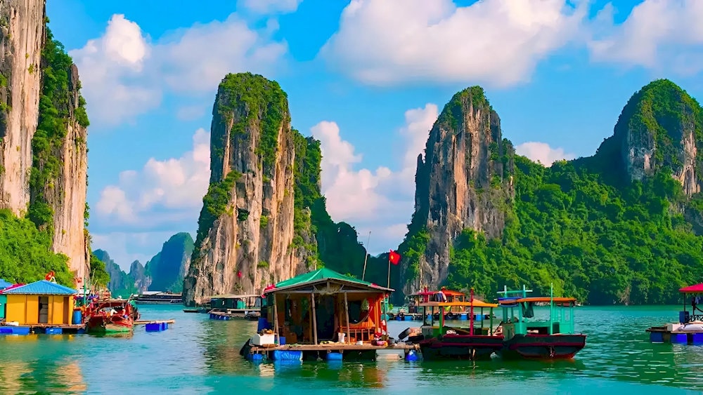 Vietnam Airlines | Best Time to Travel to Vietnam: A Comprehensive ...