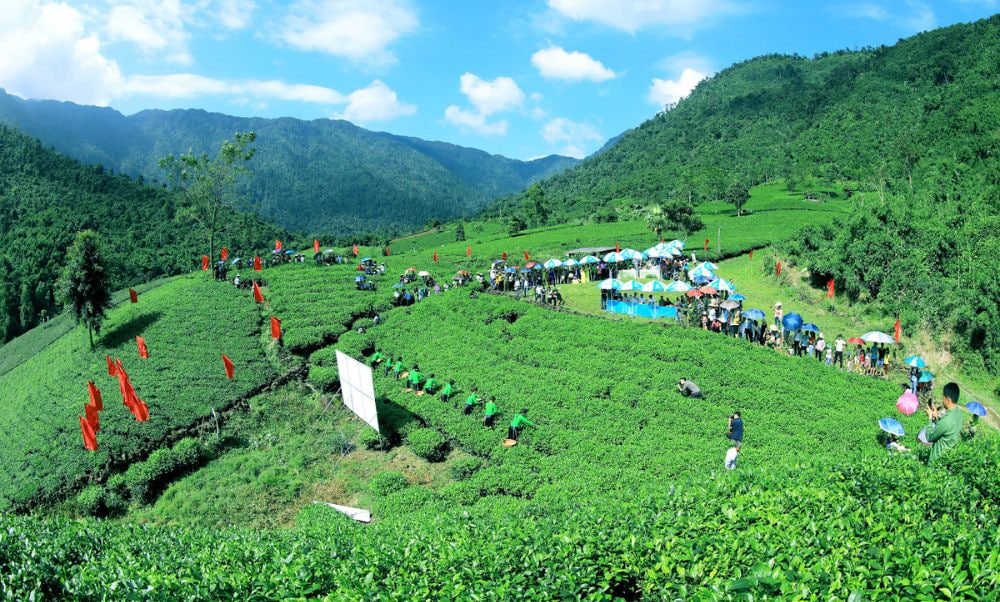 Vietnam Airlines | Thái Nguyên có gì chơi? Gợi ý dành cho cặp đôi, gia đình