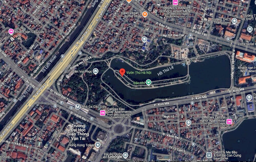 A Perfect Day Out at Hanoi Zoo: Animals and Experiences