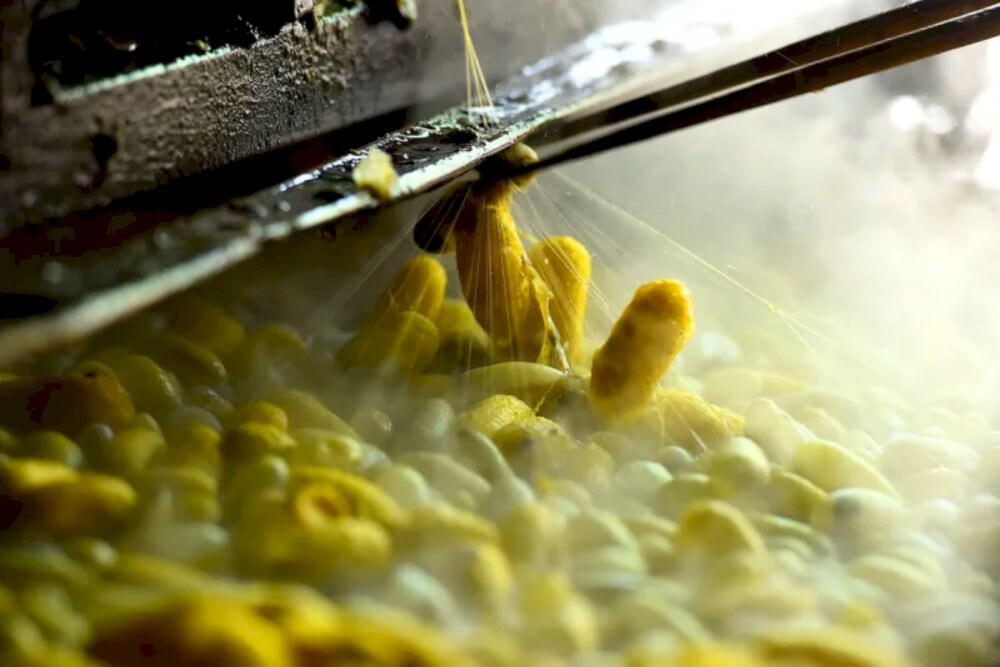 Cẩm nang khám phá làng lụa Vạn Phúc đầy mê hoặc