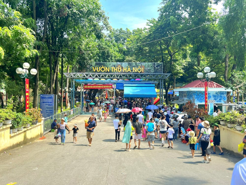 A Perfect Day Out at Hanoi Zoo: Animals and Experiences