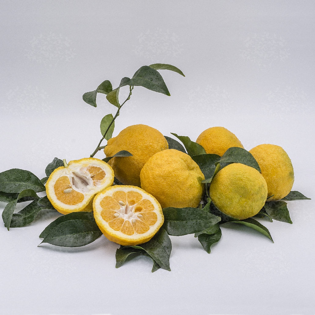 Top 10+ Asian Citrus Fruits You Must Try for Their Unique Flavors and ...