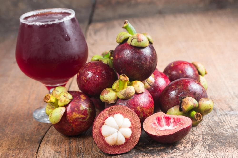 Mangosteen in Vietnam: The Queen of Fruits You Must Try