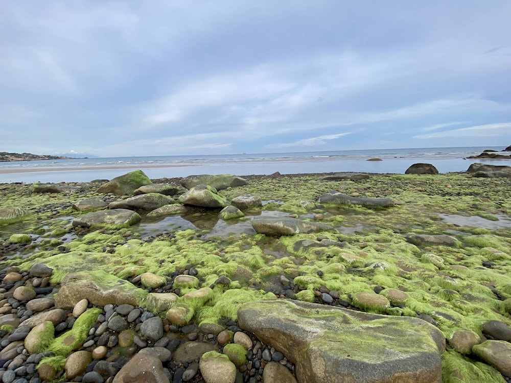 TOP 11+ bãi biển Phan Thiết đẹp nhất, đắm mình tận hưởng mùa hè