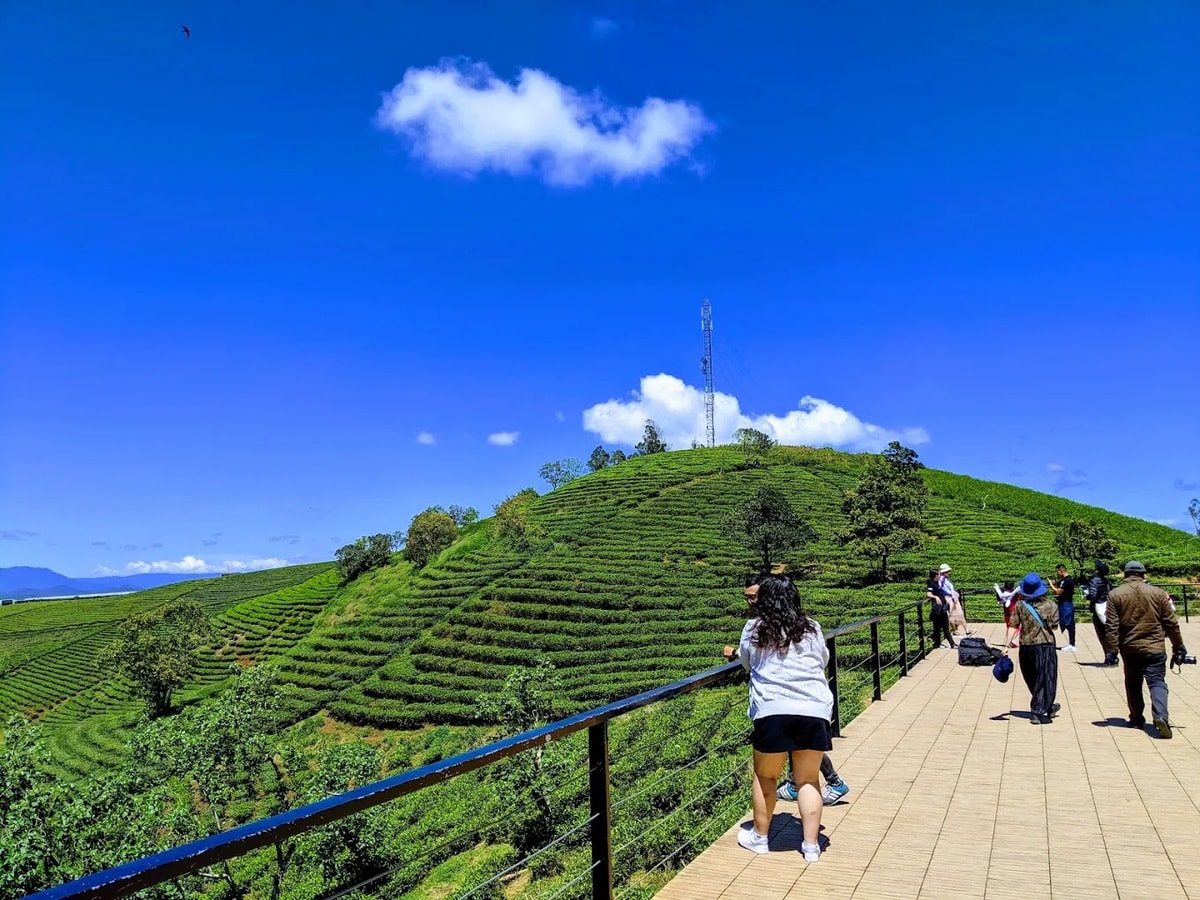 20+ địa điểm check-in Đà Lạt mới nhất 2025 cho tín đồ mê ảnh đẹp