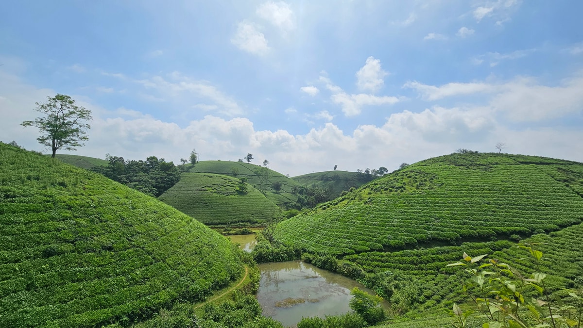 Phú Thọ có gì chơi, check-in ở đâu? Khám phá 15++ điểm đến mới nhất 2025