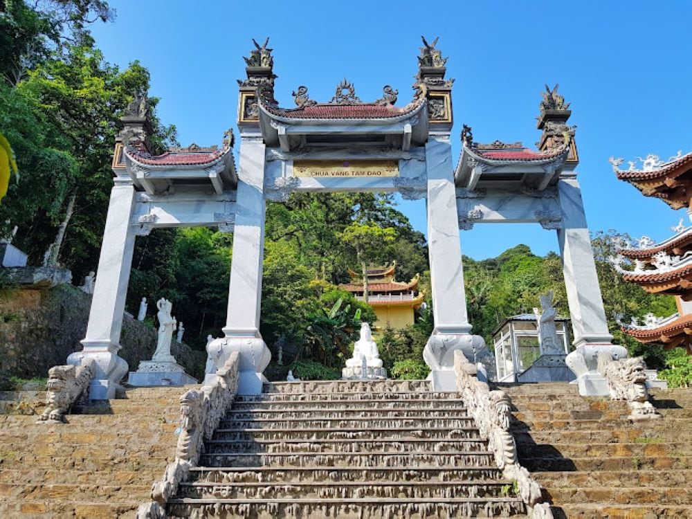 Tam Đảo có gì chơi? TOP 20++ địa điểm đẹp quên sầu, vui hết nấc!