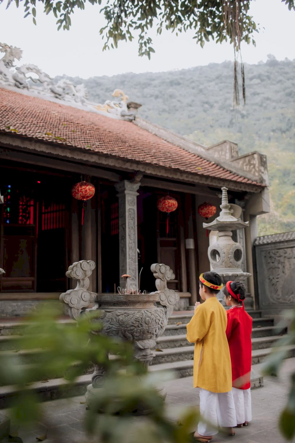 Cẩm nang du lịch vườn chim Thung Nham Ninh Bình [Cập nhật 2025]