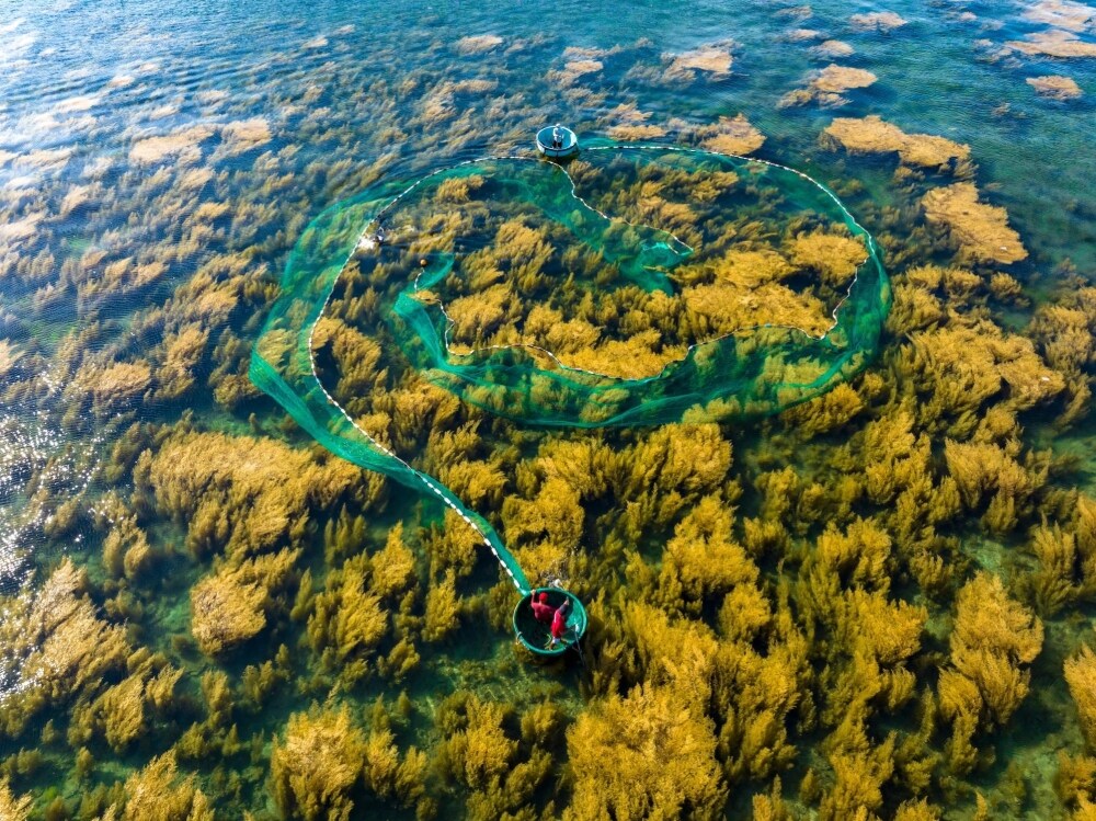 Du lịch Quy Nhơn - Trọn bộ kinh nghiệm vui chơi tự túc cho bạn